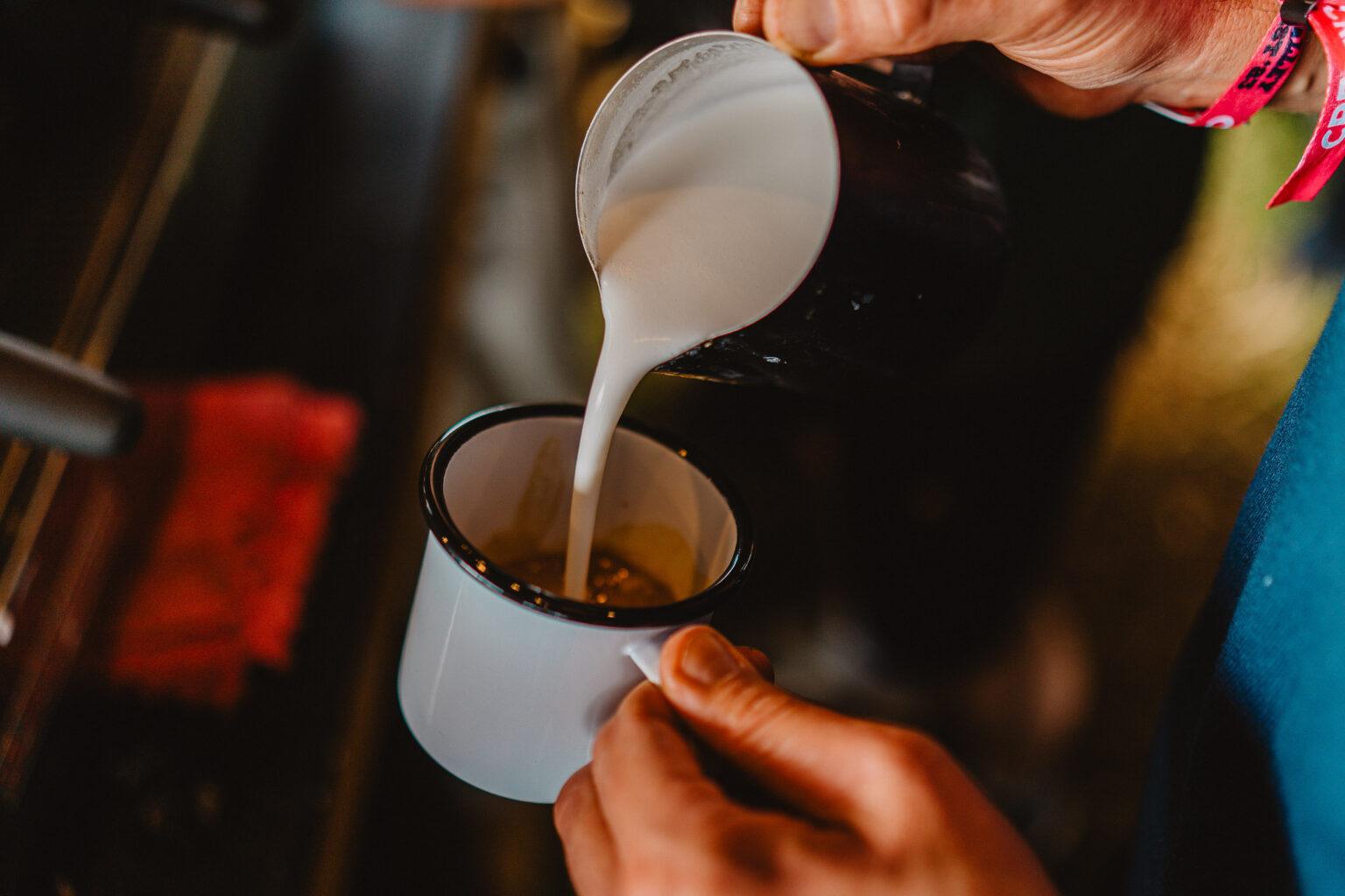 Bristol Food & Music Festival I Valley Fest 2024